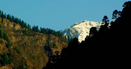 In Photos: The Resplendent Colours Of Spring In A Himalayan Village ...