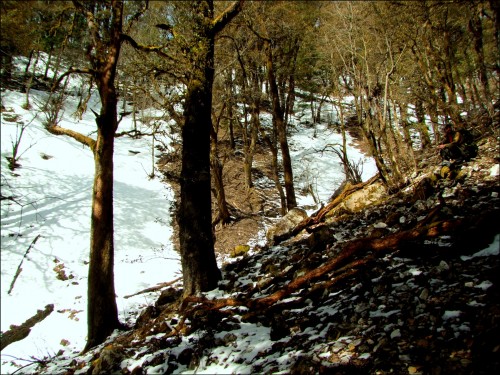 In Photos: The Resplendent Colours Of Spring In A Himalayan Village ...