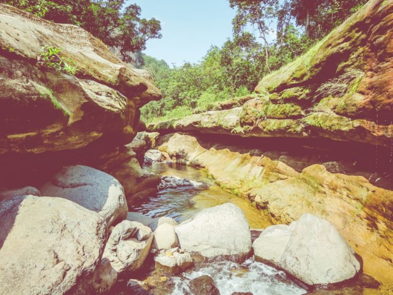 Take This Visual Journey To The Remote Village Of Patalkot & Meet Its ...