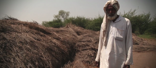 VIDEO: One man's revolutionary movement is saving 3.5 million farmers ...