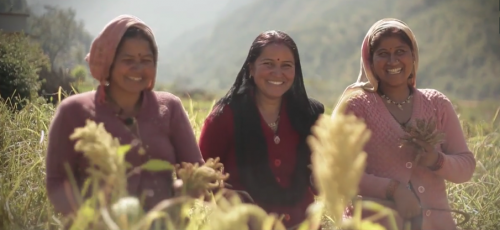 VIDEO: One man's revolutionary movement is saving 3.5 million farmers ...