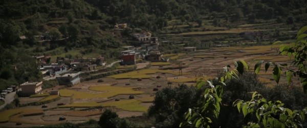 VIDEO: One man's revolutionary movement is saving 3.5 million farmers ...