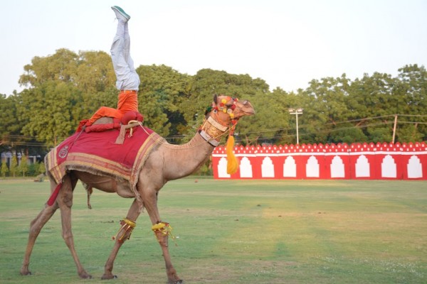 All About Border Security Force (BSF) And Its Camels