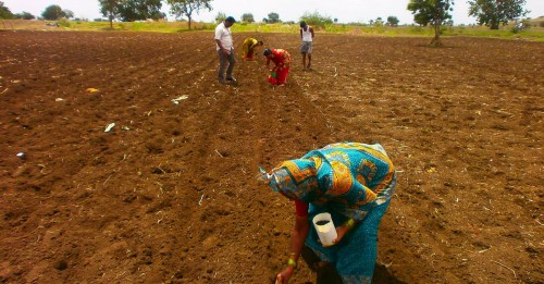 Indian Society of Agribusiness Professionals Helping Rural Farmers