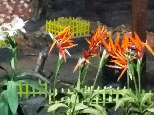 Antony Joseph's Thread Garden of Ooty in the Nilgiris