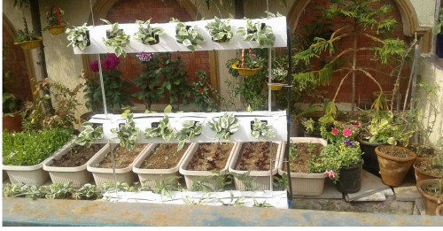 Bioneer Machine Converts Organic Waste Into Compost in Just a Day