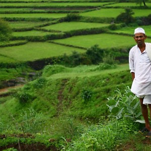How eliminating middlemen using technology is empowering farmers