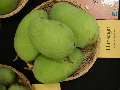 The Mango Guide to India: 8 Places Famous for Mangoes
