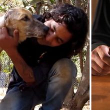 7 Landmark Judgements in Animal Law in India