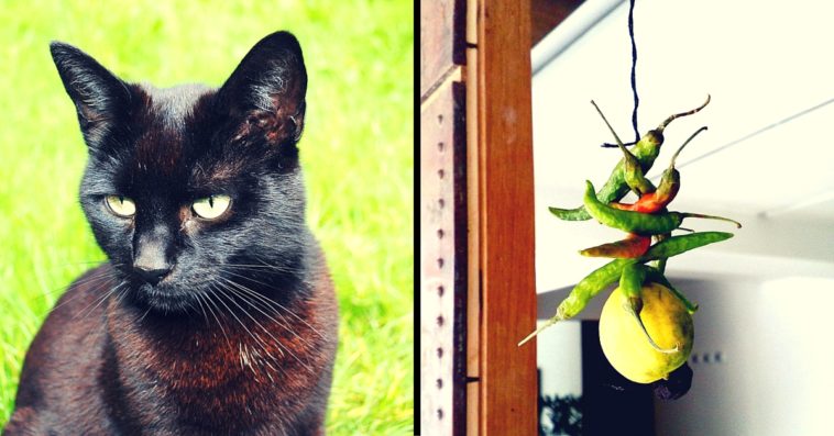 5 Common Superstitions in India with Logical Explanations