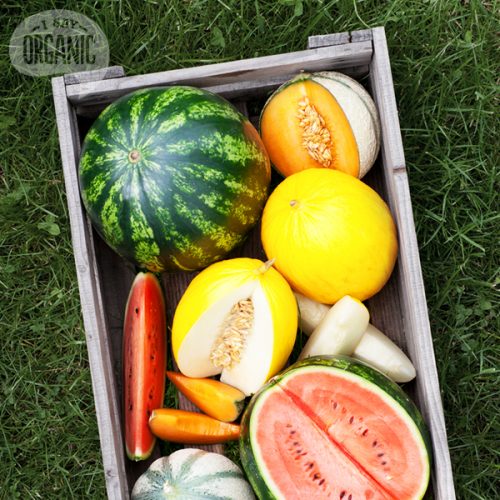 Beginner's Guide to Choosing Fresh & Healthy Fruits & Vegetables