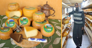 Kalari : A Traditionally Ripened Kashmiri Cheese