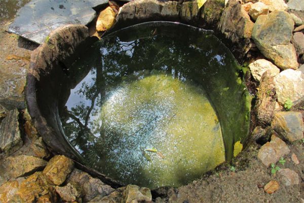 Traditional Water Conservation Systems of India