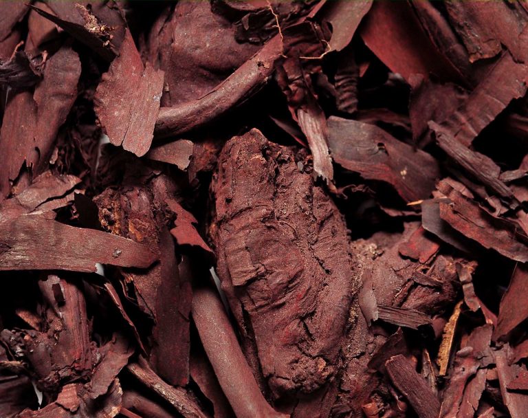 Unusual Indian Spices You're Probably Not Using but Definitely Should Try