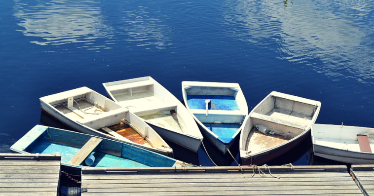 How The Neglected & Polluted Chetpet Lake Became a Thriving Fishery