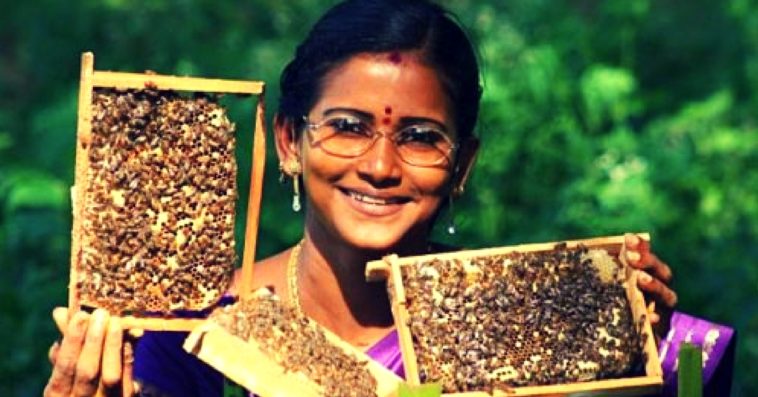 How Honey Bees Became a Source of Empowerment for Women in Rural India