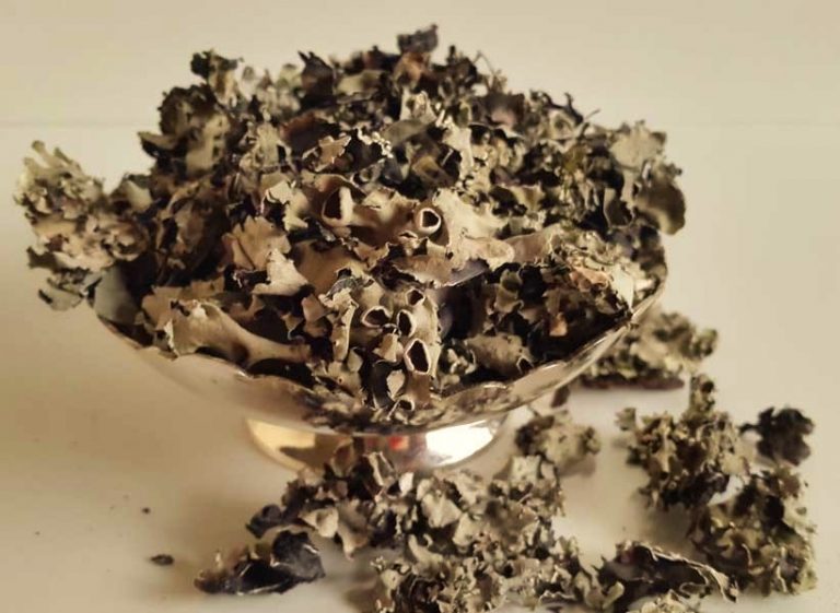 Unusual Indian Spices You're Probably Not Using but Definitely Should Try