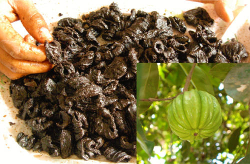 Unusual Indian Spices You're Probably Not Using but Definitely Should Try