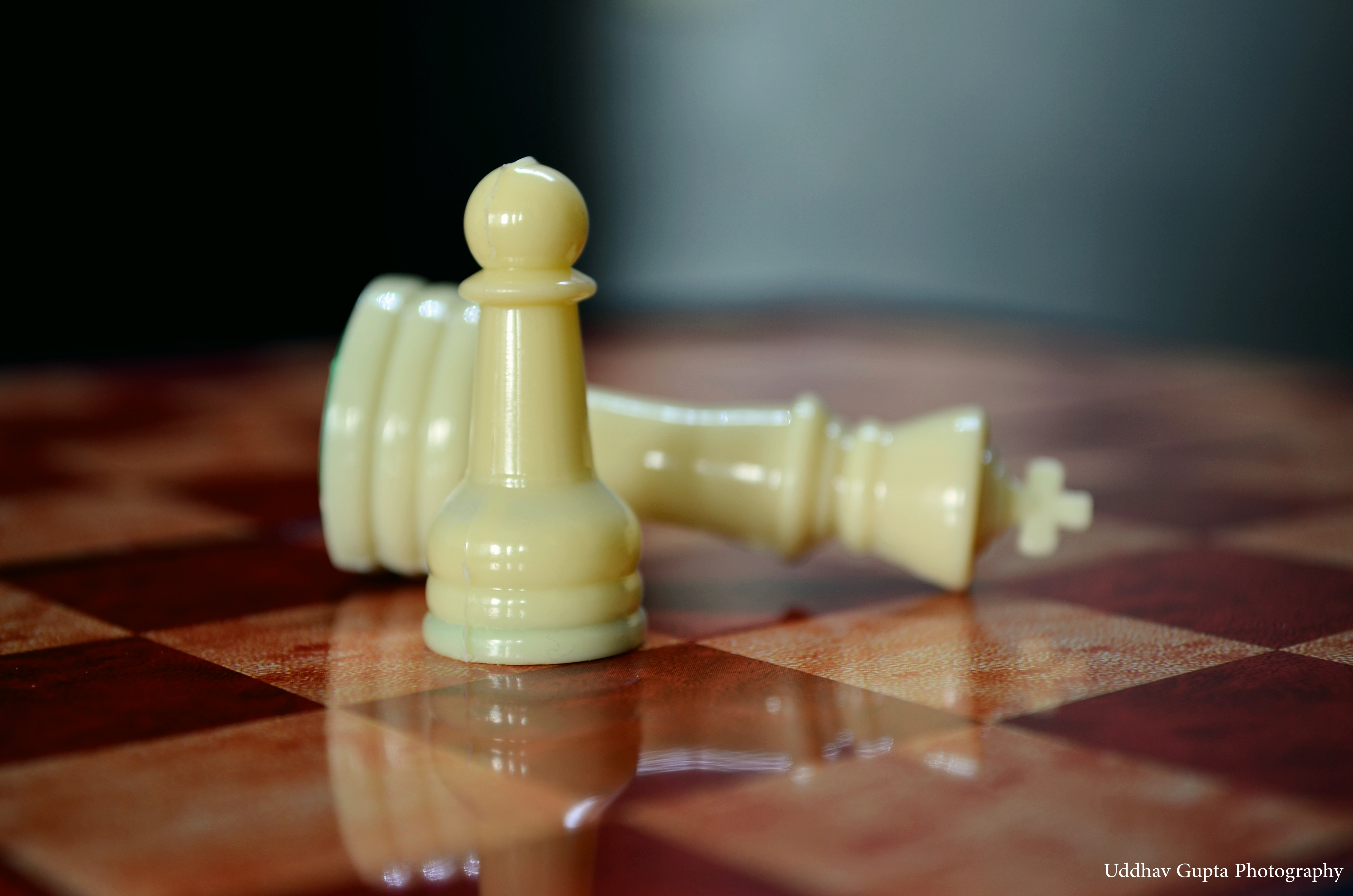 Business Lessons from a 9-Year-Old Chess Wiz