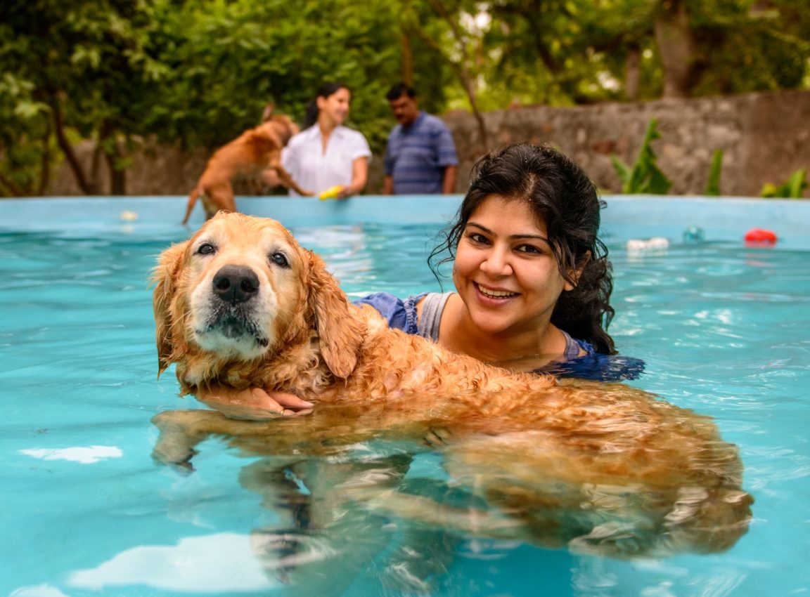 11 Indian Pet Startups That Care About Your Furry Friends