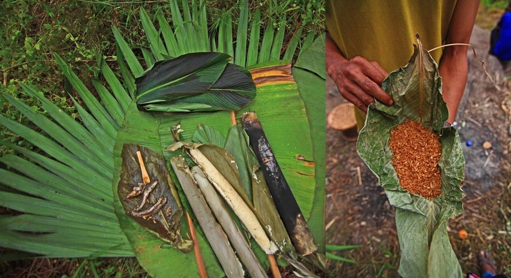 MY STORY: What My Lunch With the Adi Tribe of Arunachal Taught Me About ...