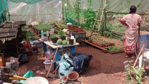 WWOOF Lets You Live and Learn on Organic Farms While You Travel