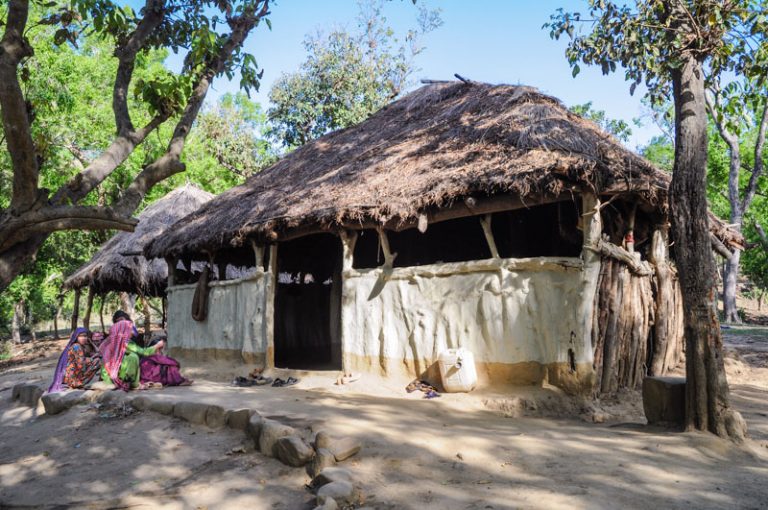 The Story of the Van Gujjar Tribe's Epic Journey into the Himalayas