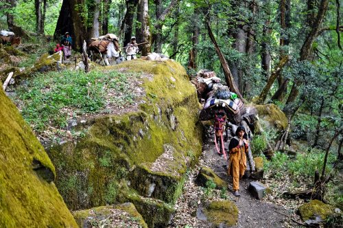 The Story of the Van Gujjar Tribe's Epic Journey into the Himalayas