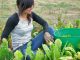WWOOF Lets You Live and Learn on Organic Farms While You Travel