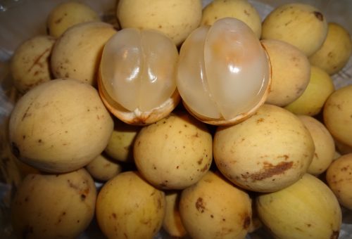 15 Unique and Rare Indian Fruits You Need to Try Right Now