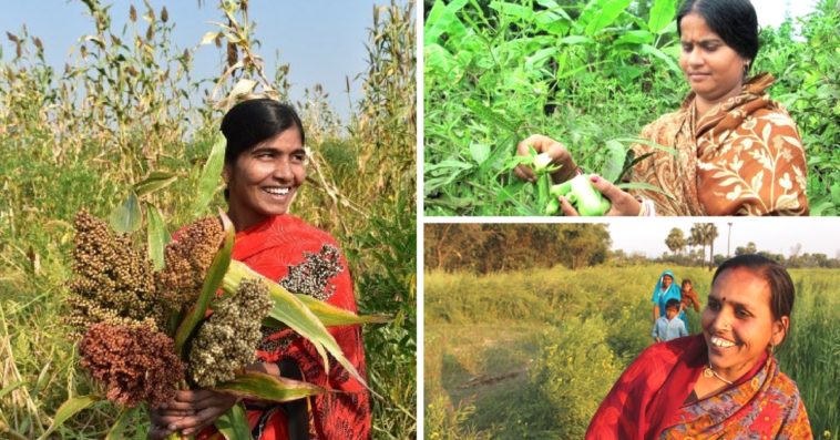 Celebrating India's Rural Women: Inspiring Stories of Women Farmers