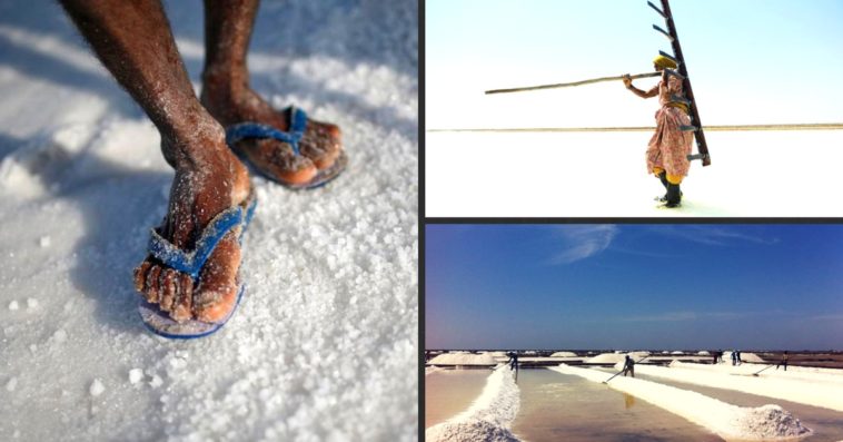 The Untold Story of the Salt Farmers of the Rann of Kutch