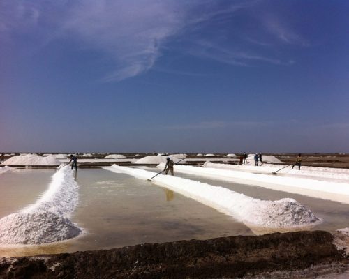 The Untold Story of the Salt Farmers of the Rann of Kutch