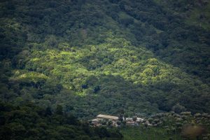 Glimpses of Kotagiri, Nilgiris' Oldest and Prettiest Hill Station.