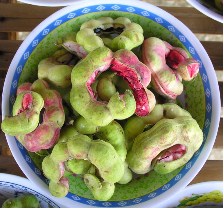 15 Unique and Rare Indian Fruits You Need to Try Right Now