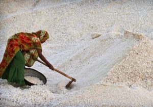 The Untold Story of the Salt Farmers of the Rann of Kutch