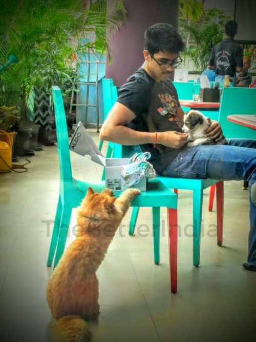 Welcome to Where Else - An Amazing Pet-Friendly Cafe in Pune