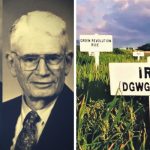 A Tribute to IR8, the 'Miracle Rice' that Helped India Fight a Famine