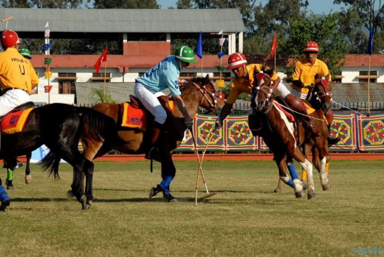 How a Polo Tournament Is Saving the Manipuri Pony From Extinction
