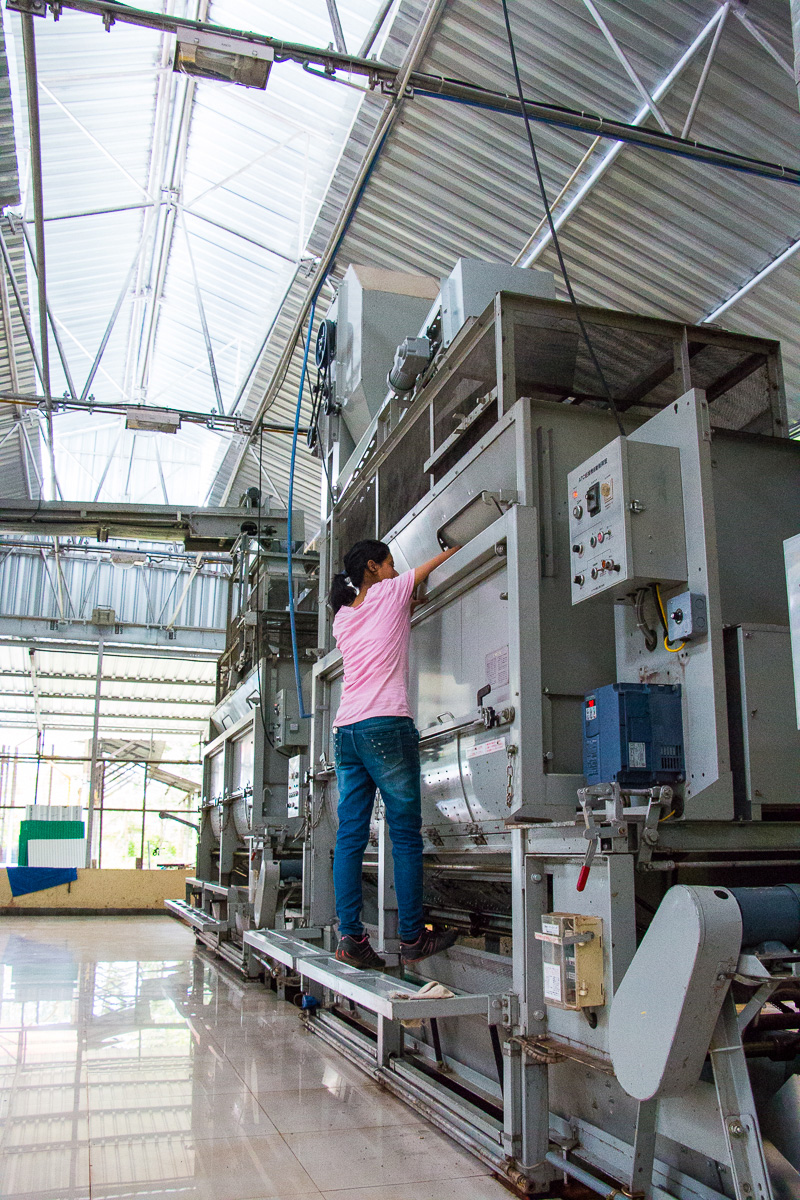 How a Brother-Sister Duo Is Running a 600-Hectare Organic Tea Estate