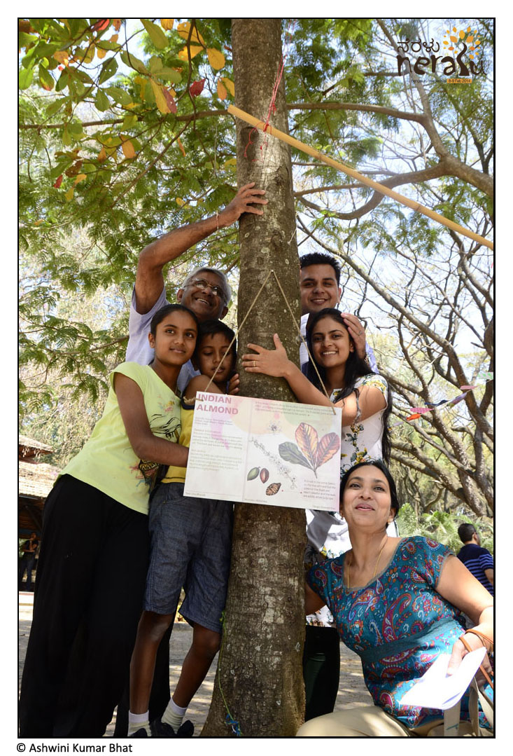 A Tree Festival in Bengaluru Aims to Save the City's Trees