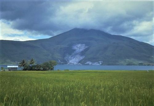 Ramapithecus, Sivapithecus & Narmada Man: India's Earliest Inhabitants