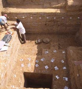 Ramapithecus, Sivapithecus & Narmada Man: India's Earliest Inhabitants