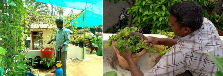 With Urban Mali, Bangaloreans Can Set up Gardens Anywhere They Want