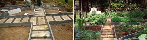 With Urban Mali, Bangaloreans Can Set up Gardens Anywhere They Want