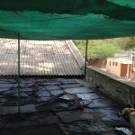 Already Dreading the Summer Heat? Use This Low-Cost Cooling Solution!