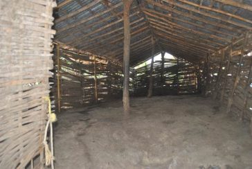 Why the Irulas of Masinagudi Are a True Inspiration