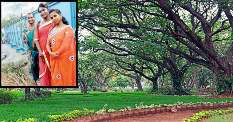 A Group of Transgender Persons Adopted Trees to Save Them from the Axe ...