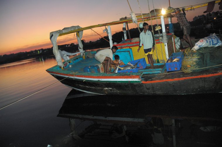 The Self-Sufficient Lives of a Fishing Community on Panju Island Just ...