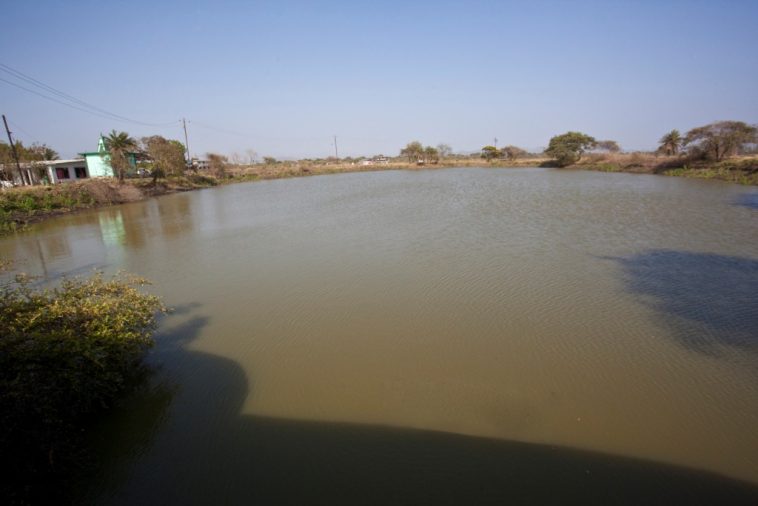 The Self-Sufficient Lives of a Fishing Community on Panju Island Just ...